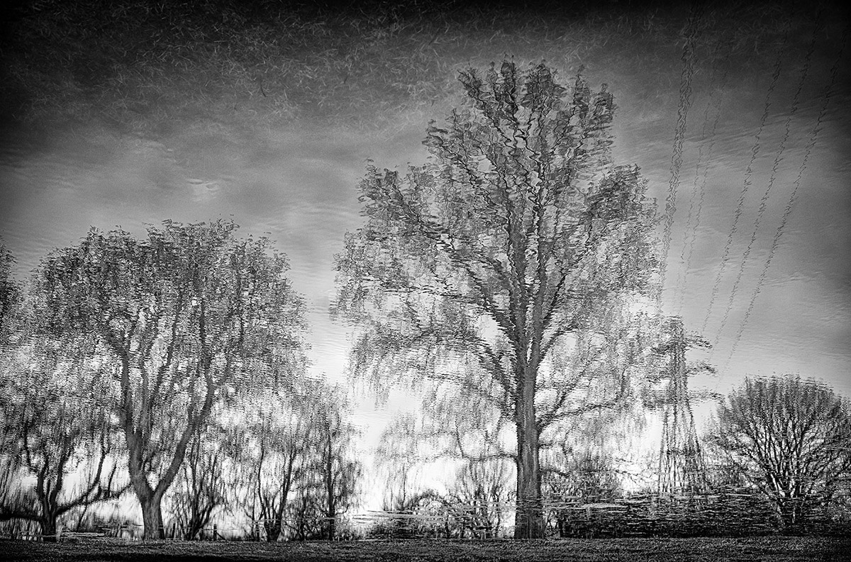 Alles verandert continue van vorm - Mark Verdoes