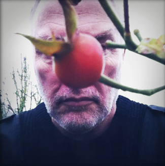 Een jaar Facebook foto’s en verder ...